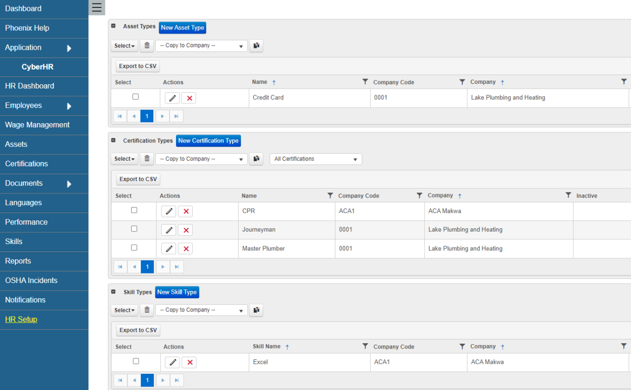CyberPay – A robust payroll software built to give our users the ...